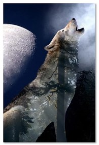 Gario Obraz na plátně Vlk vyje v noci na měsíc Rozměry: 40 x 60 cm