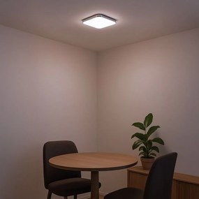 Stropní LED svítidlo Nemo, 1x LED 11w, 4000k, ch