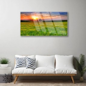 Obraz na skle Louka Slunce Příroda 120x60 cm
