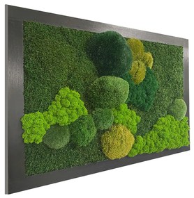 Mechový obraz|kombinace mechů Rozměr obrazu: 56x34 cm, Barva rámu: Ořech tmavý (mořená borovice), Síla rámu (pohledová): 4,5 cm