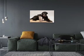 Obrazy na plátně ležící psi 120x60 cm