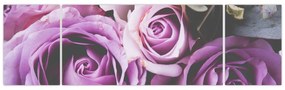 Obraz - Růžičky (170x50 cm)