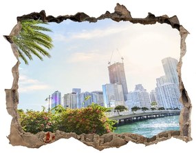 Wallmuralia Fototapeta díra na zeď 3D Miami USA 95x64 cm