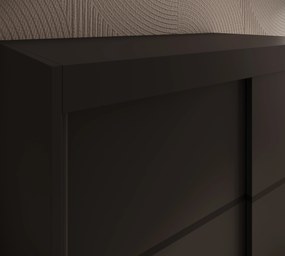 ADRK Furniture Posuvná skříň Verto 100 SW-VER-100-BB