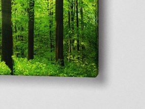 Liox Obraz prosluněný zelený les Rozměr: 250 x 100 cm