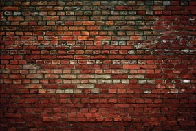 Vliesová fototapeta Dimex Brick Wall XL-167 330x220 cm
