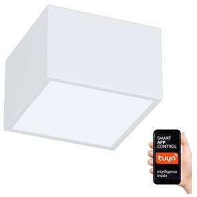 Immax Neo | Immax NEO 07072L-15 - LED Stmívatelné svítidlo CANTO LED/12W/230V bílá | IM0675