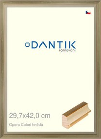 DANTIK rámeček 29,7x42 | OPERA Colori hnědá (Plexi Čiré)