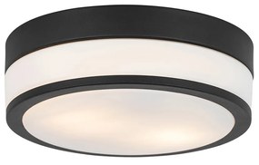 Moderní venkovní stropní svítidlo černé 28 cm IP44 - Flavi