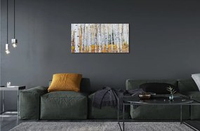 Obraz na skle podzimu bříza 100x50 cm