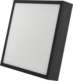XXXLutz STROPNÍ LED SVÍTIDLO, 22.5/4.2/22.5 cm - Stropní svítidla - 005710070402