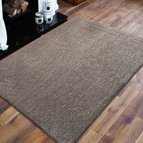 DY Hnědý neklouzavý koberec shaggy Camel Rozměr: 60x100 cm