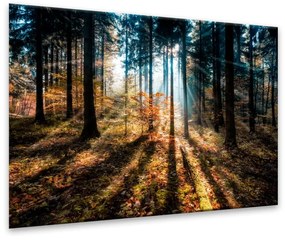 Obraz Styler Glasspik Autumn Sunset, 70 x 100 cm