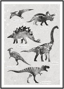 Plakát Dinosauři Rozměr plakátu: 40 x 50 cm, Varianta dinosaurů: S popisky