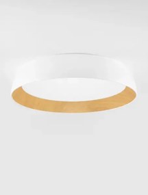 LED stmívatelné bílo-dřevěné moderní stropní svítidlo Sigi 2