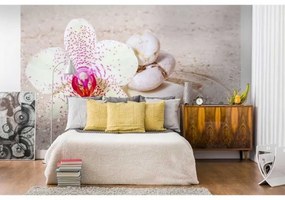DIMEX | Samolepicí vliesová fototapeta na zeď Relaxační písek MA-5-0119 | 375 x 250 cm | béžová, krémová, růžová