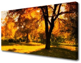 Obraz na plátně Stromy Podzim Příroda 125x50 cm