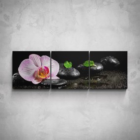 3-dílný obraz - Růžový květ orchideje - PopyDesign