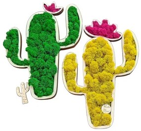 OznTo Živý obraz kaktus 30cm různé barvy Barva: Žlutá