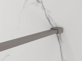 Erga Paris, sprchová zástěna Walk-In 100x200 cm, 8mm čiré sklo, grafitový profil, ERG-V02-PARIS-100x200-CL-GG