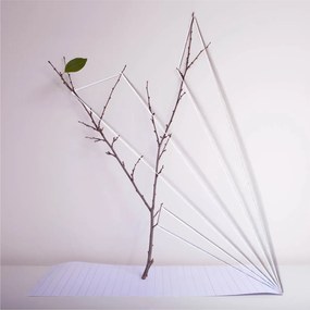 Michaela Pospíšilová Králová | Reconstructed Diary 2 Rám: Dubový, Velikost: 40 x 30 cm