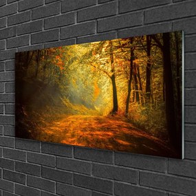 Obraz na skle Les Cestička Stromy Příroda 120x60 cm