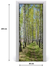 Fototapeta na dveře samolepící břízový les 85x205 cm