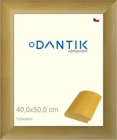 DANTIK rámeček 40x50 | Vyřazeno | RENÉ přírodní (Plexi Čiré)
