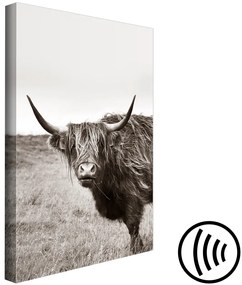 Obraz Věčný (1-dílný) svislý - šedá fotografie býka na louce