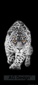 AG Design Leopard Fototapeta na dveře FTN v 2897, rozměr 90x202cm