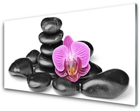 Obraz na skle Květ Kameny Umění 120x60 cm