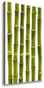 Wallmuralia Vertikální Moderní fotoobraz canvas na rámu Bambus 50x100