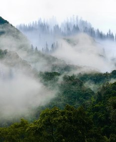 Bondecor Obraz na plátně "Hory v mlze" 60x80cm