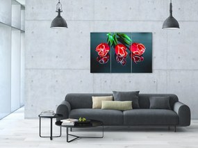 Obraz červené tulipány Velikost (šířka x výška): 150x100 cm