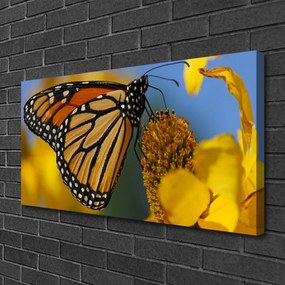 Obraz na plátně Motýl Květ Příroda 140x70 cm
