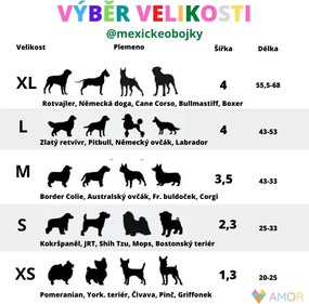 Kožený mexický obojek L