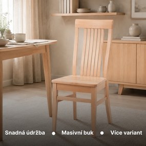 Stima Židle TAKUNA masivní buk buk