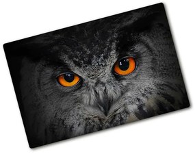 Wallmuralia Kuchyňská deska skleněná Oči sovy 80x52 cm