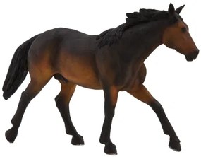 Mojo Quarter horse hnědák