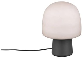 Černo-bílá stolní lampa se skleněným stínidlem (výška 27 cm) Steen – Trio
