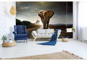 DIMEX | Samolepicí vliesová fototapeta na zeď Kráčející slon MA-5-0225 | 375 x 250 cm | zelená, modrá, béžová, šedá