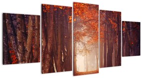 Podzimní les - obraz