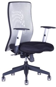 Office Pro Kancelářská židle CALYPSO XL bez podhlavníku Barva opěráku: 12A11 šedá