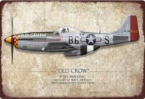 Plechová cedule P-51 Mustang III Velikost: A4 (30 x 20 cm)