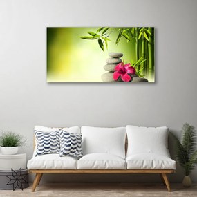 Obraz na plátně Bambus Květ Kameny Zen 100x50 cm