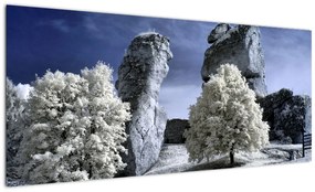 Zimní krajina - obraz do bytu (100x40cm)