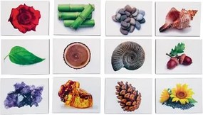 Just Jigsaws 781 Přírodniny - dřevěné pexeso / 24 dílů / od 3 let