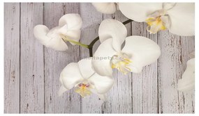 Samolepící dekorace za sporák nehořlavá - Orchidej na desce