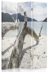 Ozdobný paraván, Větve stromů na tropické pláži - 110x170 cm, třídílný, obustranný paraván 360°