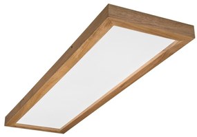 Brilagi - LED Koupelnové svítidlo WOODY FRAME LED/50W/230V 120x30 cm IP44 dub